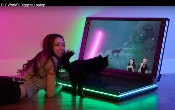 Bastlerduo baut Laptop mit 109-cm-Bildschirmdiagonale - Webwatch ...
