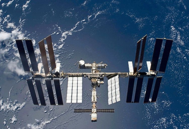 Moos überlebte monatelang an der Außenhülle der Raumstation ISS ...