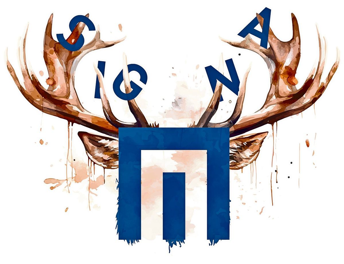 Gegen Benko wird nun auch wegen mutmaßlichen Verstoßes gegen das ...