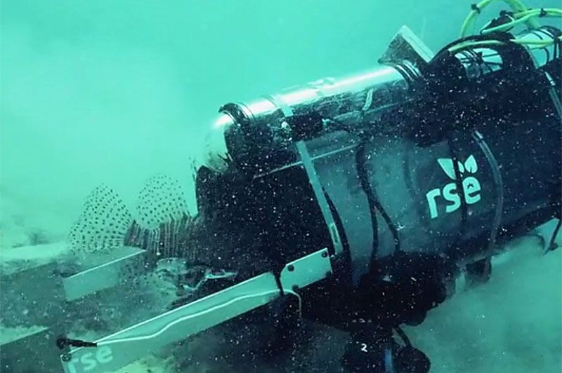 "Guardian": Riffschutz-Roboter setzt Fische unter Strom - Innovationen ...