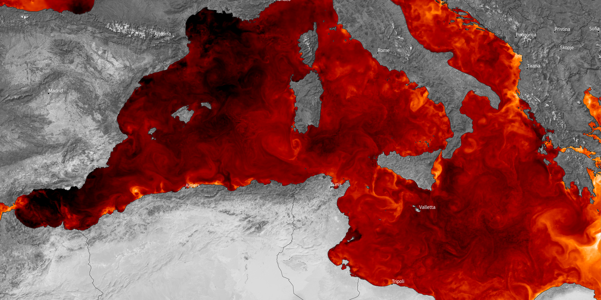 Hitzewelle im Mittelmeer: Wassertemperaturen derzeit auf Rekordhoch - Natur - derStandard.de ...