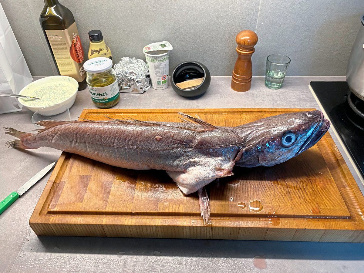 Ein kleiner Guide zur Zubereitung von Meeresfisch - Essen & Trinken ...