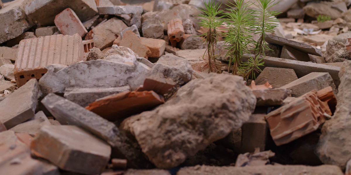 Belebte Bauruinen von Martin Roth im Künstlerhaus Wien - Bildende Kunst ...