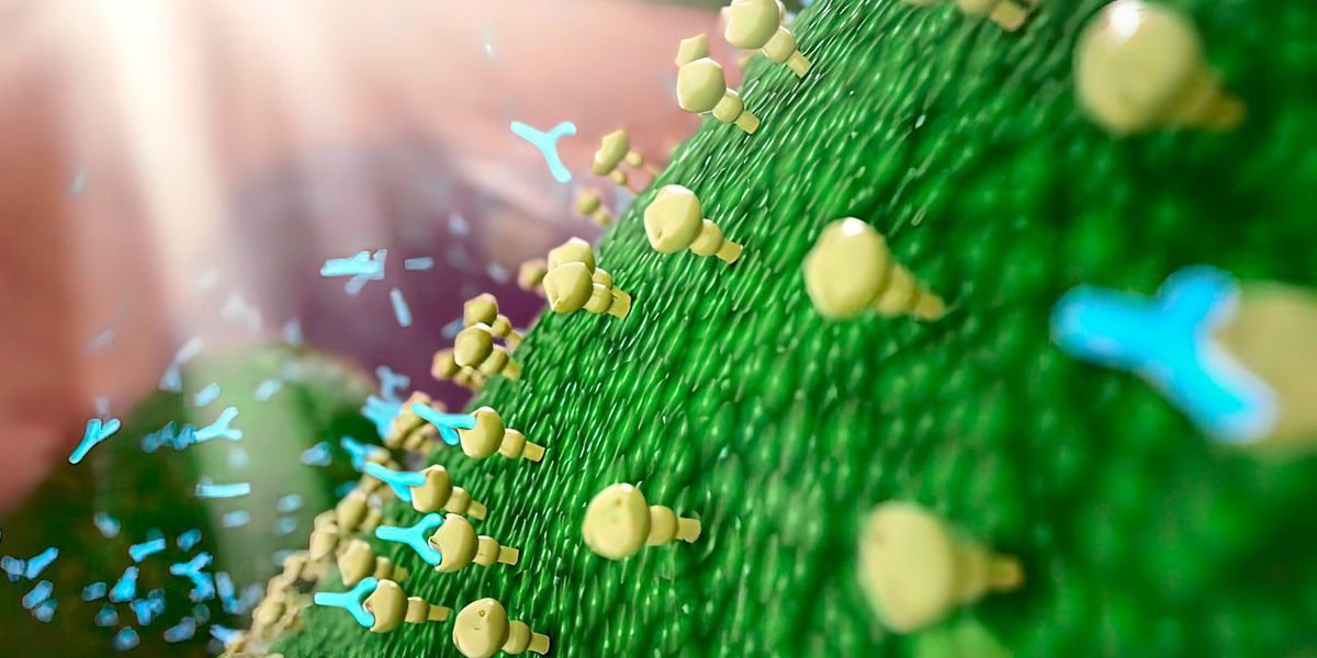 Diphtherie-Fälle in Österreich: Was bedeutet das? - Gesundheit ...