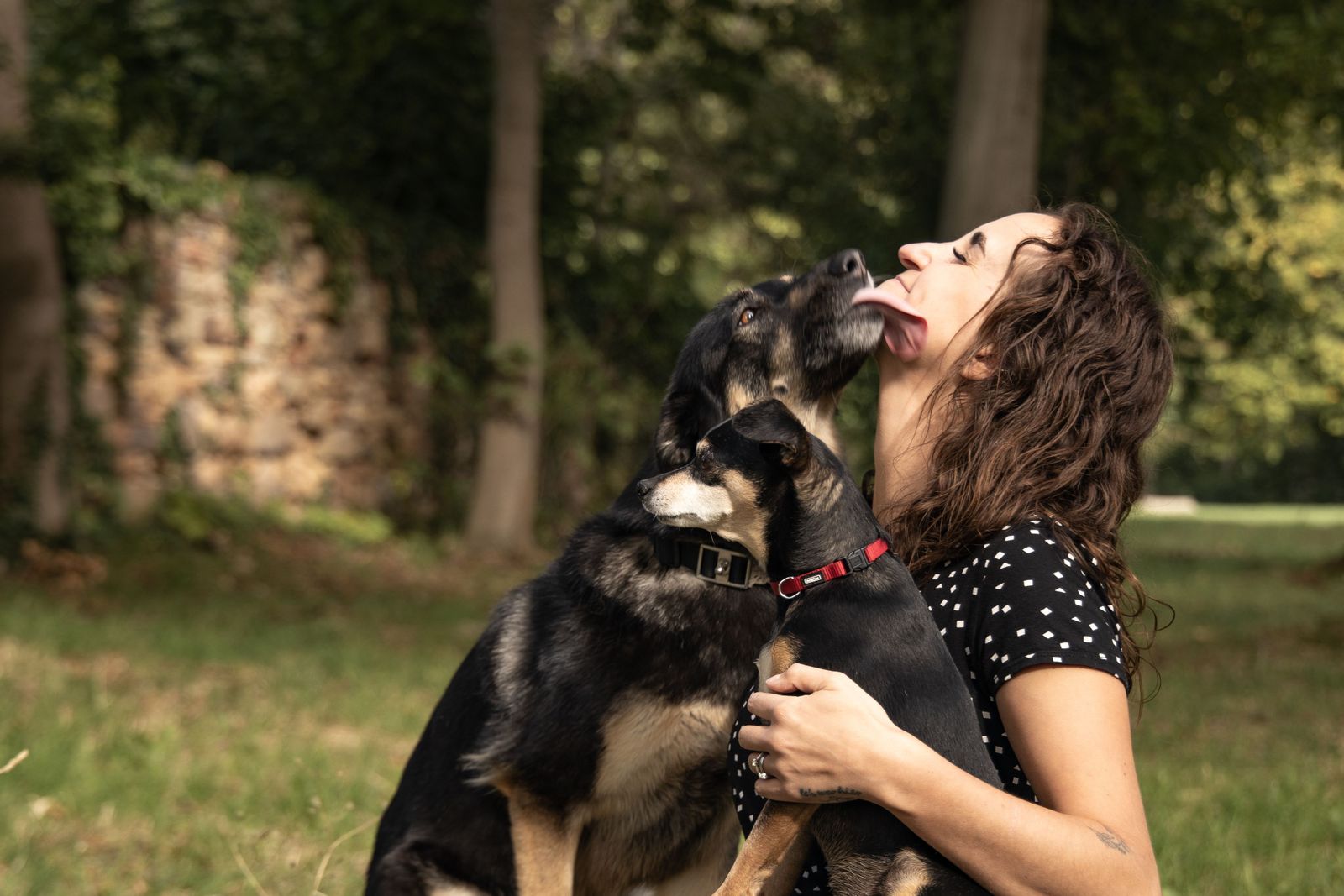 Auch Hunde schaden dem Klima – veganes Futter könnte helfen - Zukunft ...