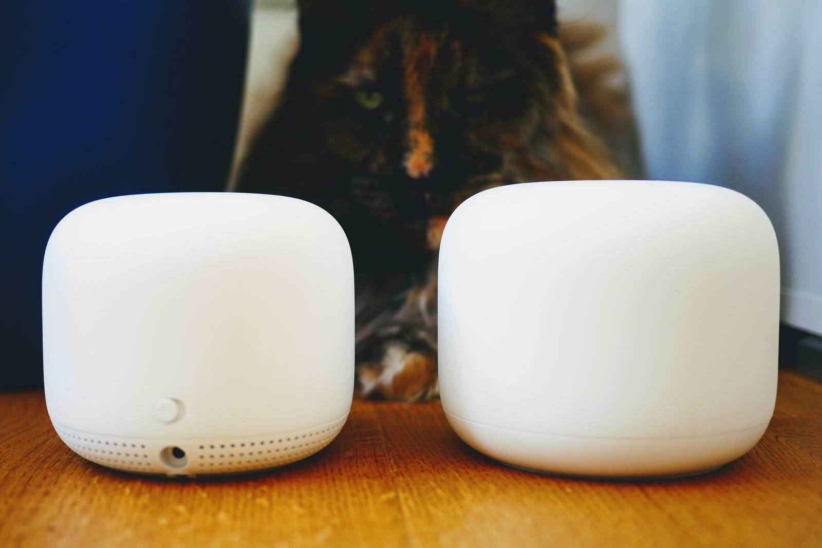 Nest Wifi im Test: Googles smartes WLAN-System kommt nach Österreich ...