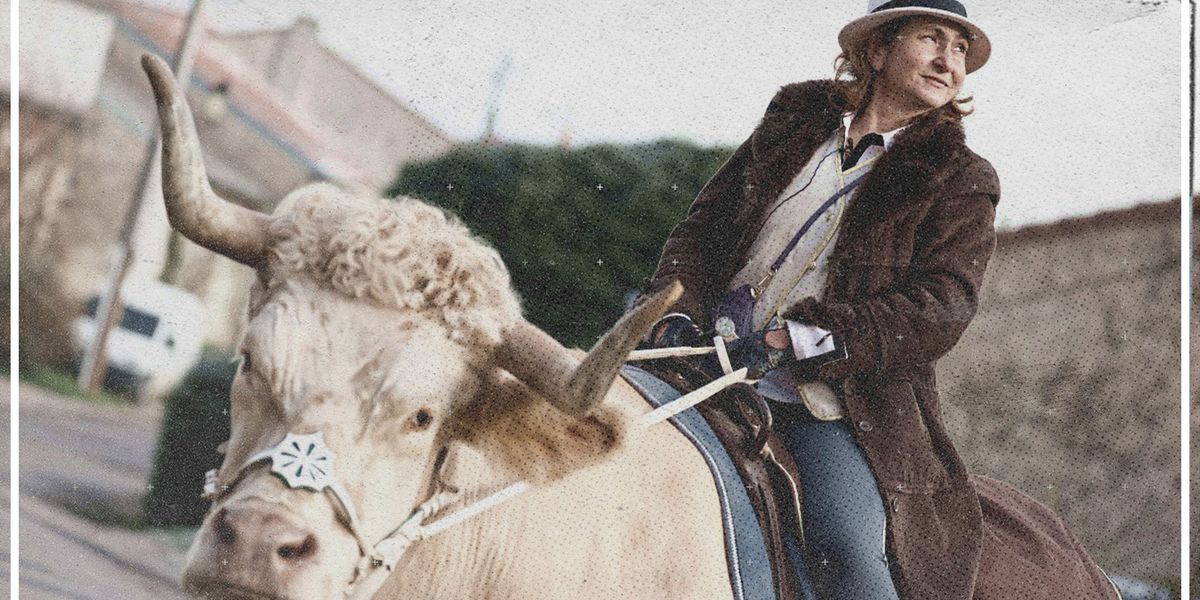 Aston: Ein Stier, der sich für ein Pferd hält - Video - derStandard.de › Video