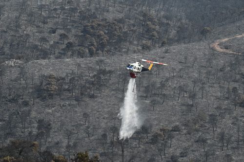 Auch Teile der griechischen Insel Korfu wegen Waldbränden evakuiert ...