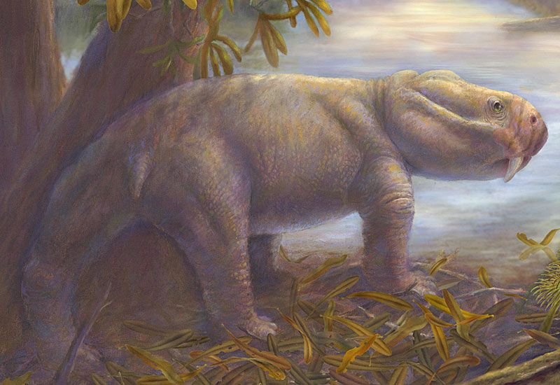 Massenaussterben als Schlüsselmomente der Artenvielfalt - Paläontologie ...