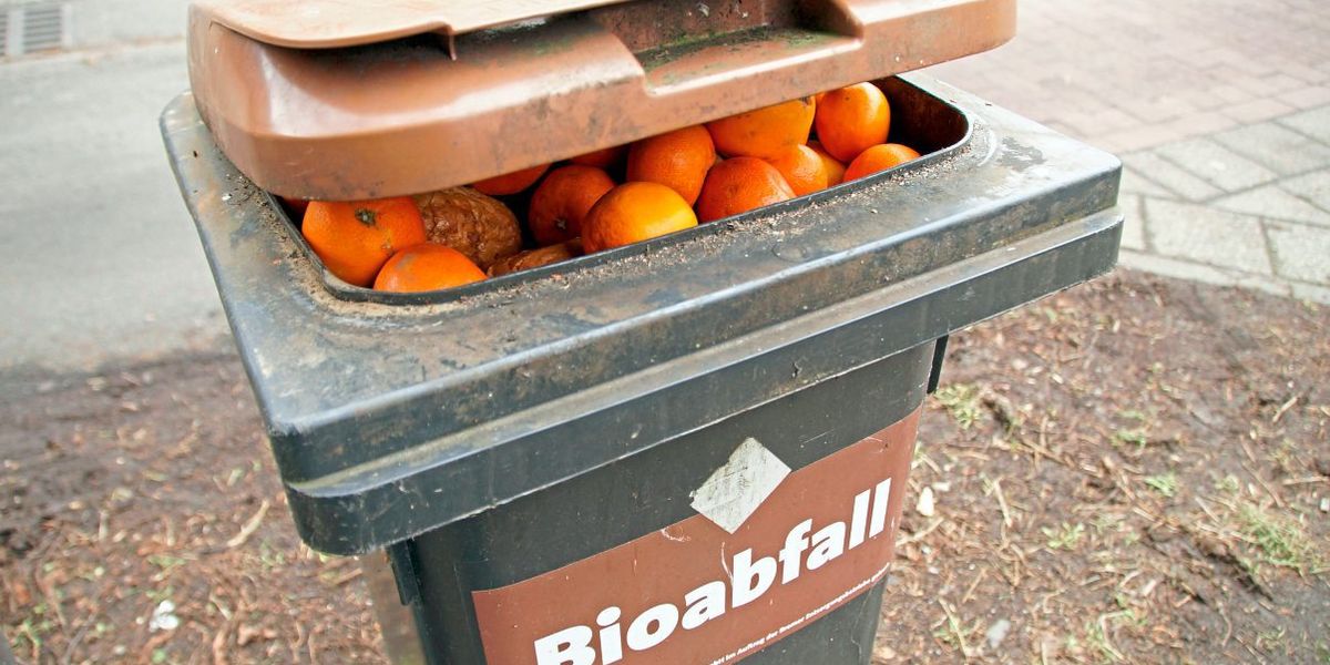 Rettung von Essen aus Abfall soll in Deutschland straffrei werden ...