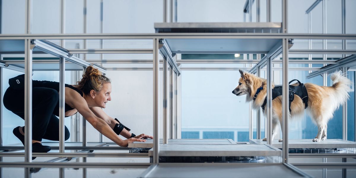 Die Macht der Technik - Ars Electronica 2022 - derStandard.at › Kultur