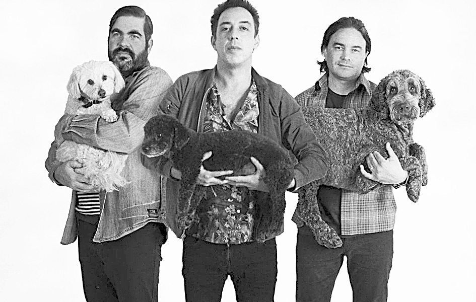 Wolf Parade: Knick im Nacken, geknickt im Leben - Musik - derStandard ...