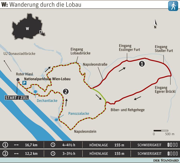 Lobau-Wanderung: Ein Lob der Au zu dieser Jahreszeit - Urlaub in Wien ...