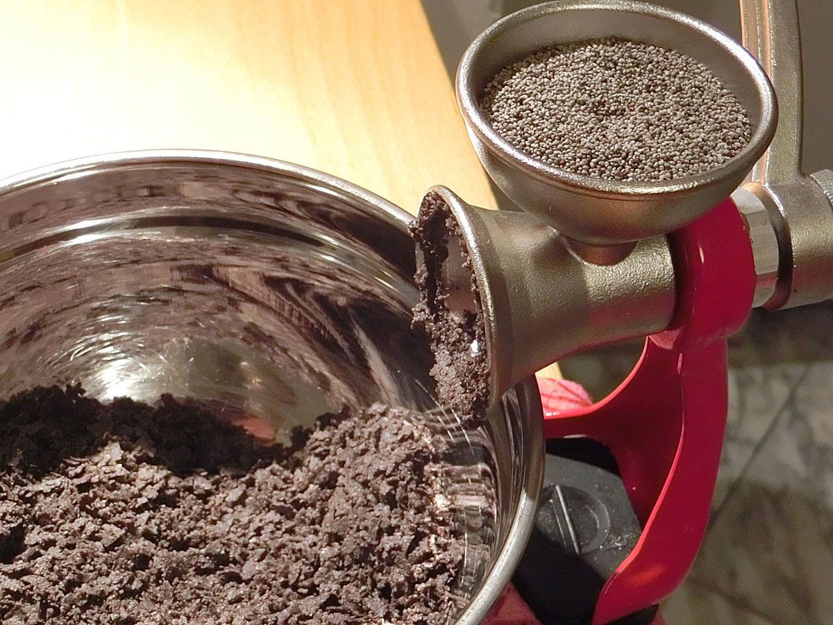 Waldviertler Mohnzelten - Backen - derStandard.at › Lifestyle