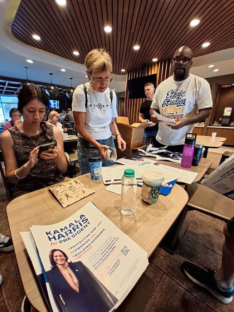 Im Swing-State Wisconsin von Tür zu Tür für Kamala Harris - USA - derStandard.at › International