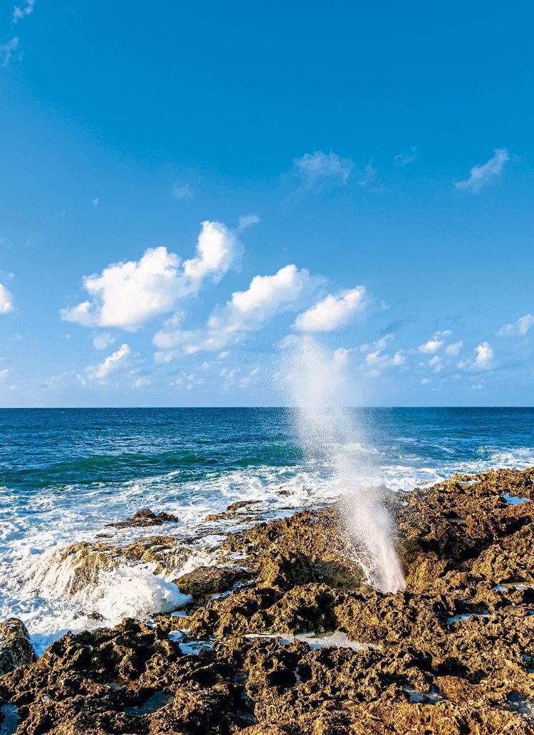 Meer lesen! - Kultur - derStandard.de › Kultur