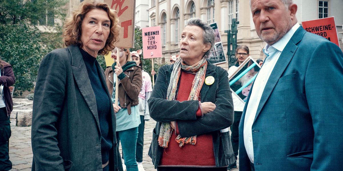 Murder on the Farm: What do you think of Vienna's new "crime scene ...