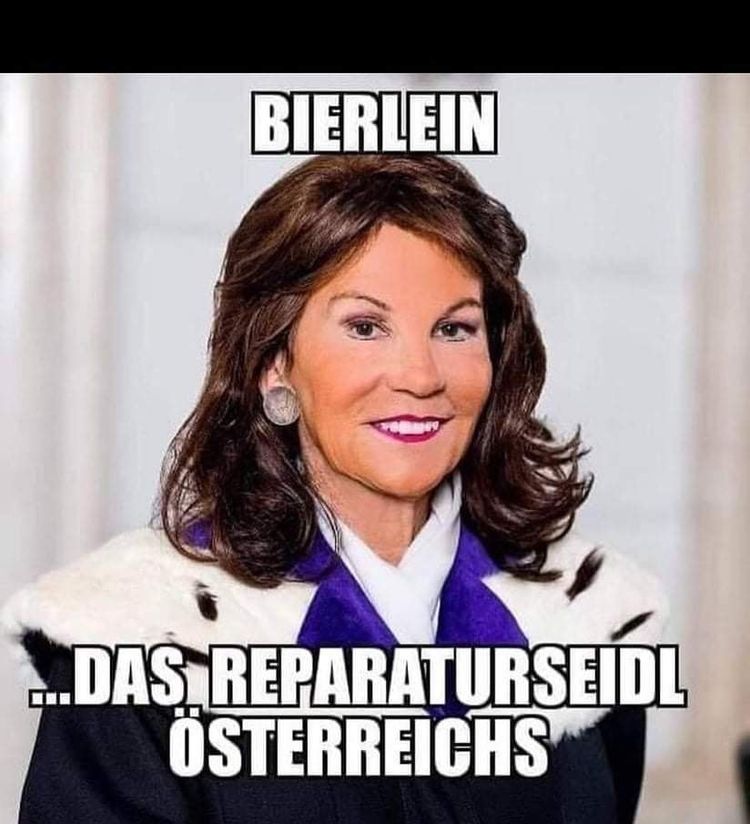 Die schrägsten Memes zur aktuellen Regierungskrise: "Soll ich den Basti ...