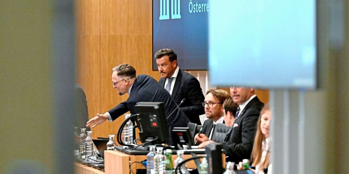 NGO will Liveübertragung von U-Ausschüssen vor VfGH erzwingen ...