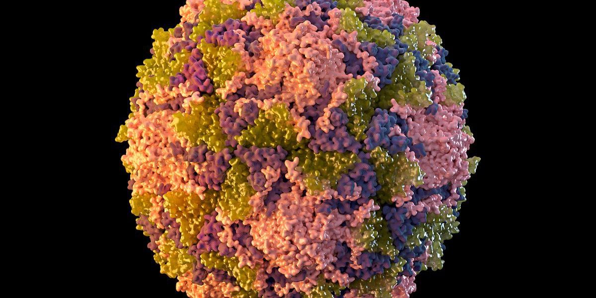 Immer öfter Polioviren im Abwasser entdeckt - Gesundheit - derStandard ...