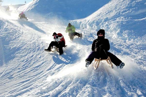 Rodelbahnen im Test - Reisen aktuell - derStandard.at › Lifestyle