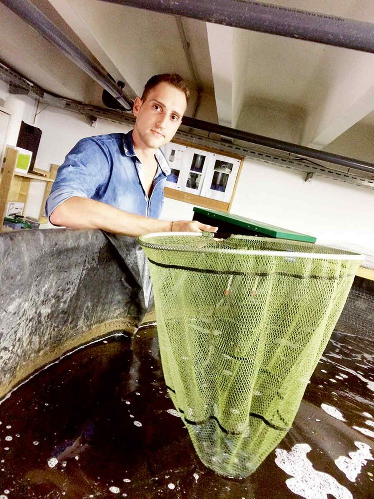 Wie der Shrimp nach Tirol kommt - Essen & Trinken - derStandard.de ...