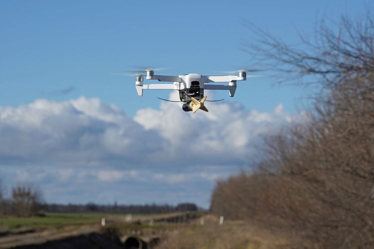 US-Forscher machen tote Vögel zu Drohnen - Innovationen - derStandard ...