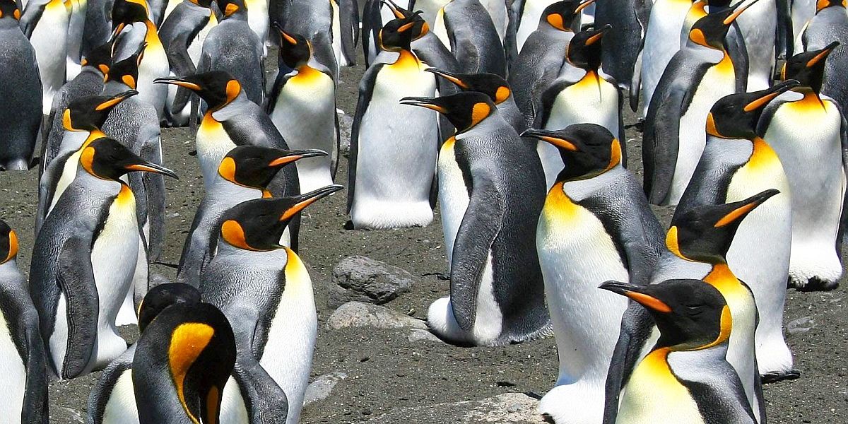 Linux: Kernel-Entwicklung soll vor Bürokratie-Kollaps stehen - Linux ... Linux: Kernel-Entwicklung soll vor Bürokratie-Kollaps stehen - Linux ...