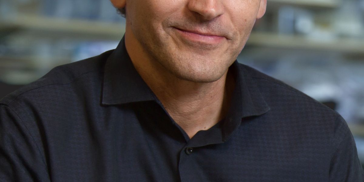 Molekularbiologe Martin Hetzer wird neuer IST-Präsident - Welt ...