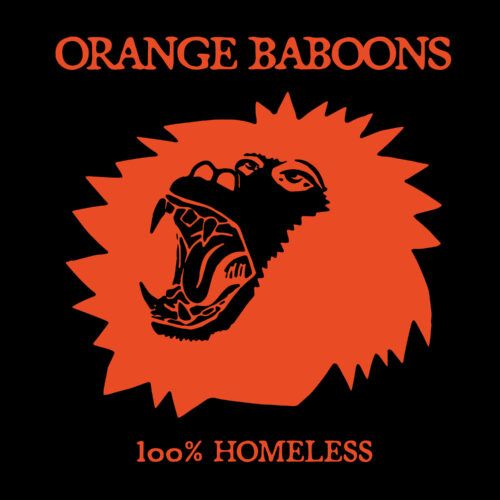 Der Vergessenheit entrissen: Das Album "100% Homeless" der Orange ...