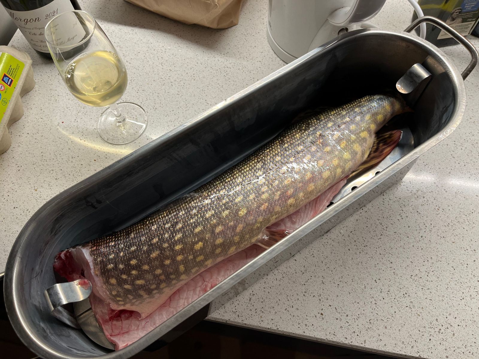Toller Hecht! Was man aus dem Raubfisch machen kann - Gruß aus der ...