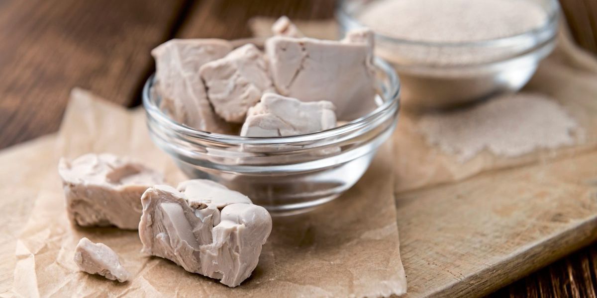 Hefezellen können Corona entdecken - Forschung - derStandard.de ...