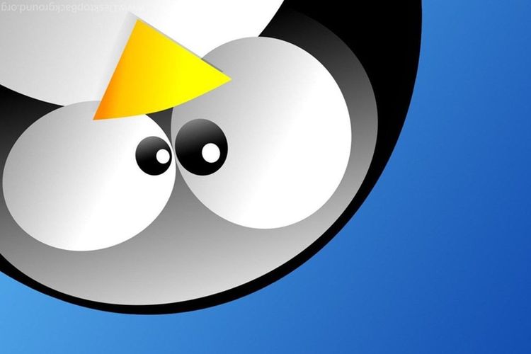 Kritische Lücke gefährdet fast alle Linux-Systeme, Angriffe laufen ...