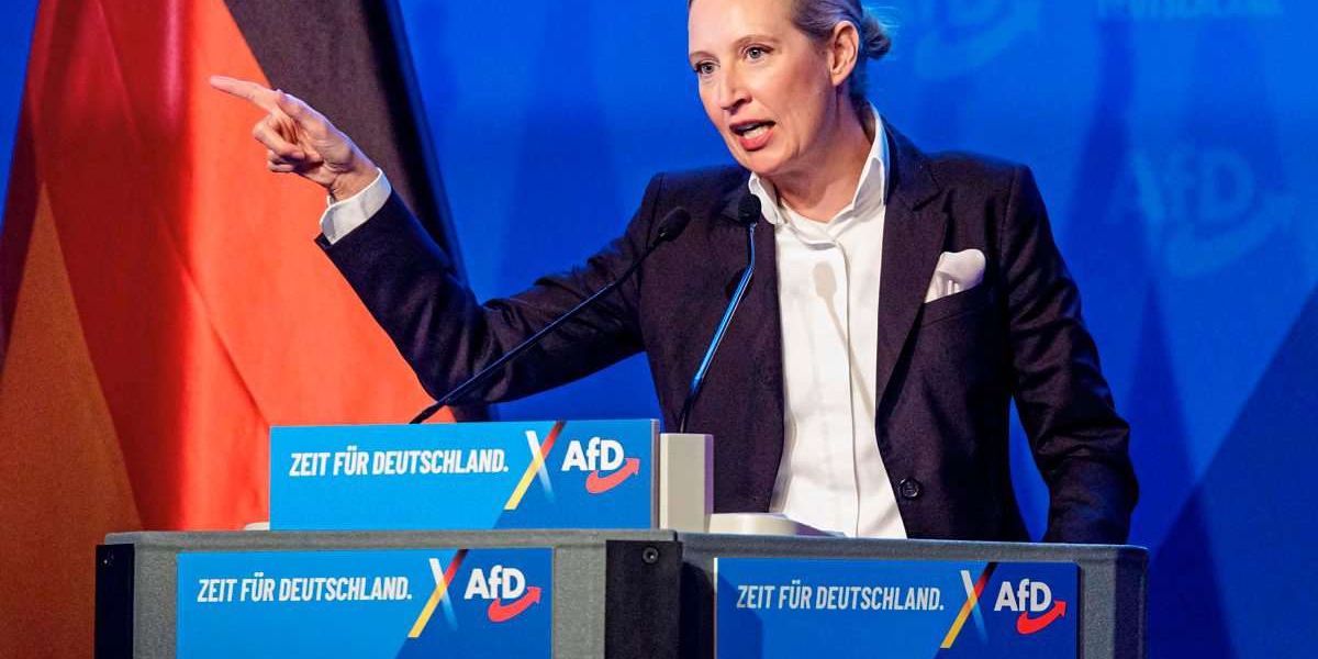 AfD will Unions-Anträgen zu Migration im Bundestag zustimmen, BSW nicht ...