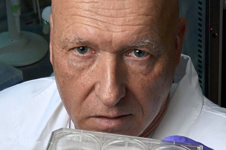 Wissenschafter will Tierversuche mit "Minigehirnen" aus dem Labor ...