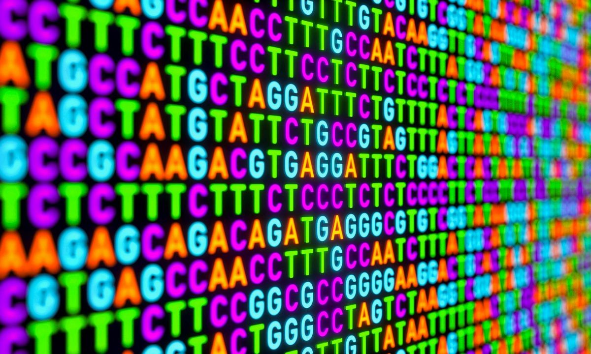 Wie das neue KI-Modell AlphaGenome die DNA-Analysen revolutioniert ...