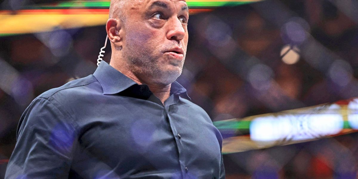 Einflussreicher US-Podcaster Joe Rogan vergleicht ICE-Behörde mit ...