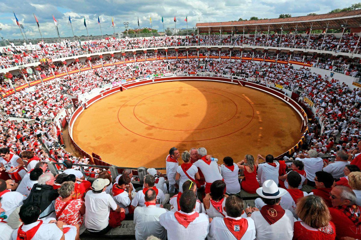 Matador Macron will den Stierkampf in Frankreich retten - Frankreich ...