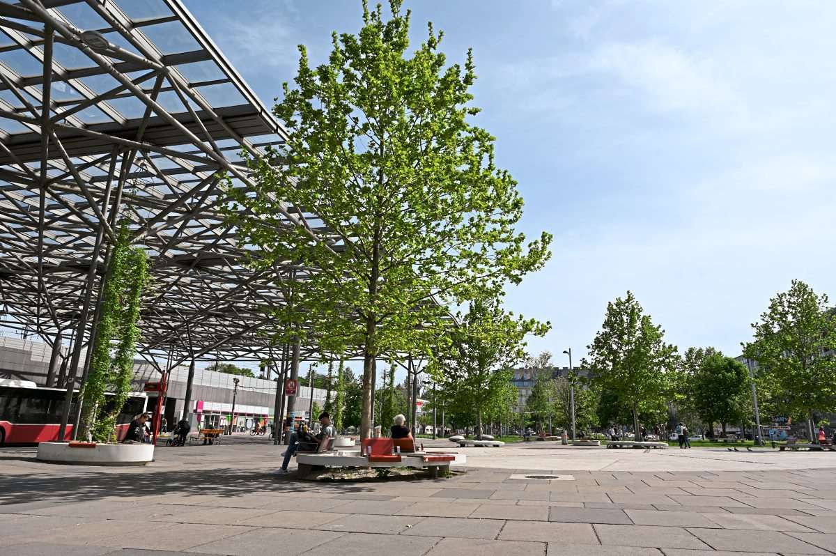 Bäume, Bänke, Wasserspiele: Mit Ulli Sima unterwegs in Wien - Architektur & Stadt - derStandard ...