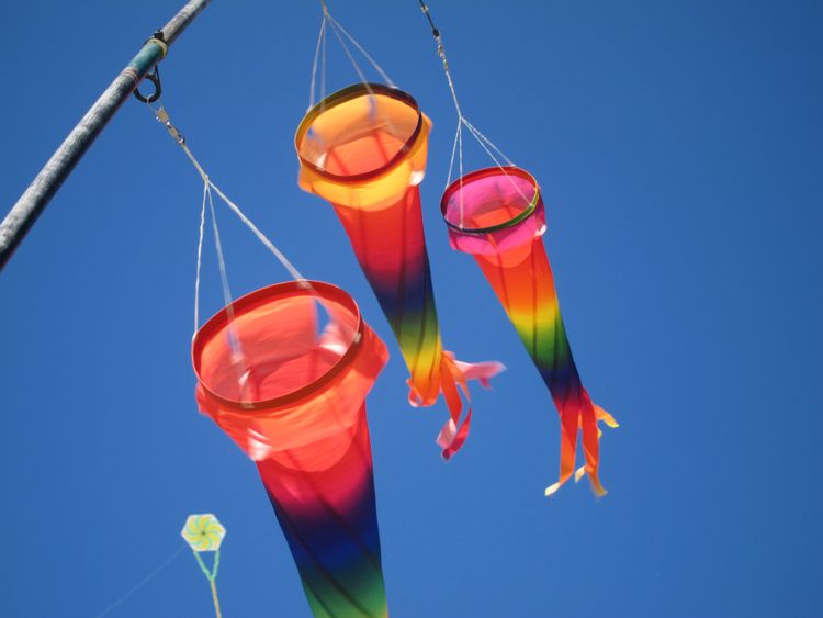 Die dänische Insel für Camper, Cockerspaniels und andere wilde Hunde ...