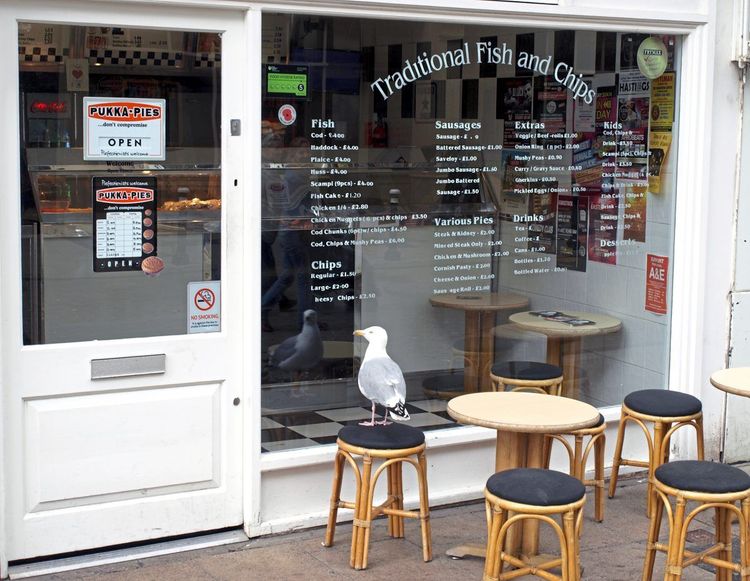 Die schönsten Urlaubsfotos unserer Userinnen und User der Woche ...