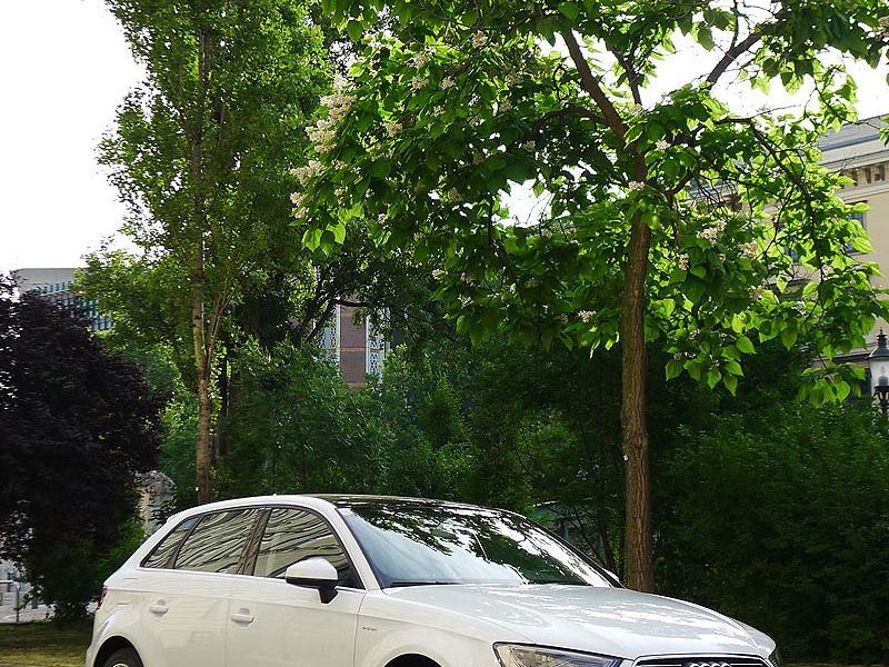 Audi A3 e-tron: Der Typ mit der weißen Weste - Auto - derStandard.at ...