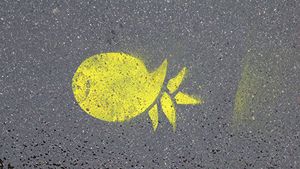 Die "Flug-Ananas" als Bilderrätsel im Sprühregen - Wien - derStandard ...