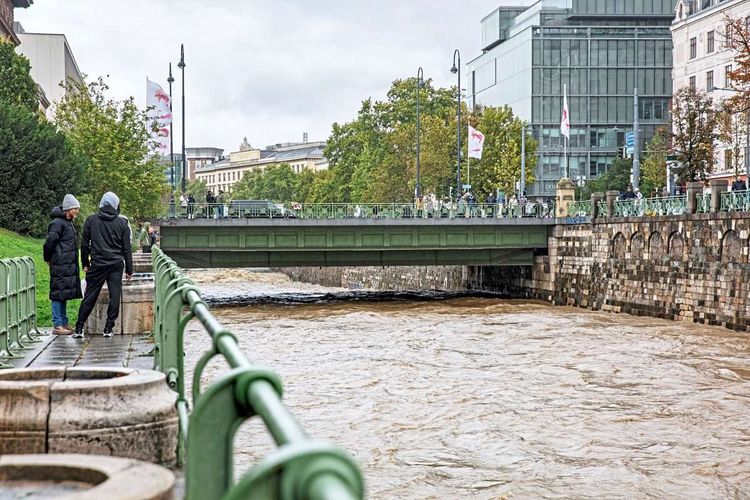 Hochwasser hat auch Wien im Griff - Österreich - derStandard.de ...