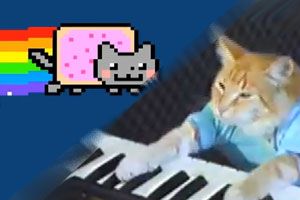 Warner Bros. wegen Nyan Cat und Keyboard Cat geklagt - Netzpolitik ...