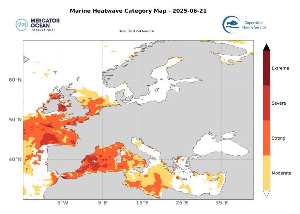Hitzewelle im Mittelmeer: Wassertemperaturen derzeit auf Rekordhoch - Natur - derStandard.de ...