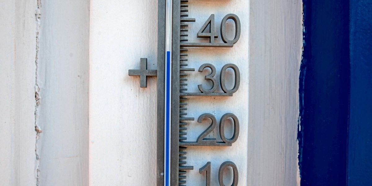 Die große Panik vor lauter Hitze - Gesundheit - derStandard.de › Wissen ...