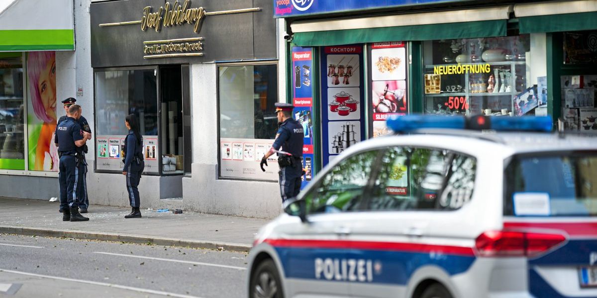 Werden Polizeiübergriffe ordentlich untersucht? - Hans Rauscher - derStandard.at › Diskurs