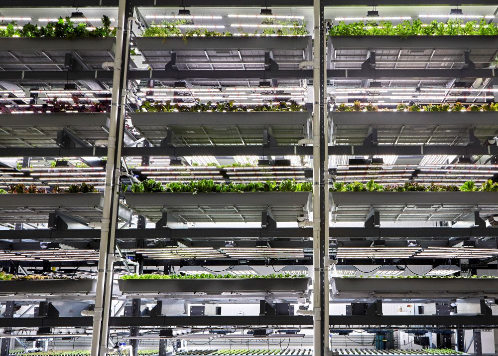 In Dubai steht jetzt die größte vertikale Farm der Welt - Zukunft ...
