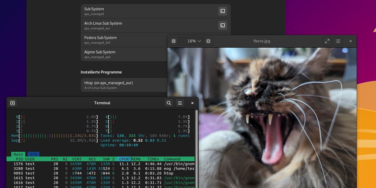 Vanilla OS: Ein frischer Wind für den Linux-Desktop - Linux-Unix - derStandard.at › Web